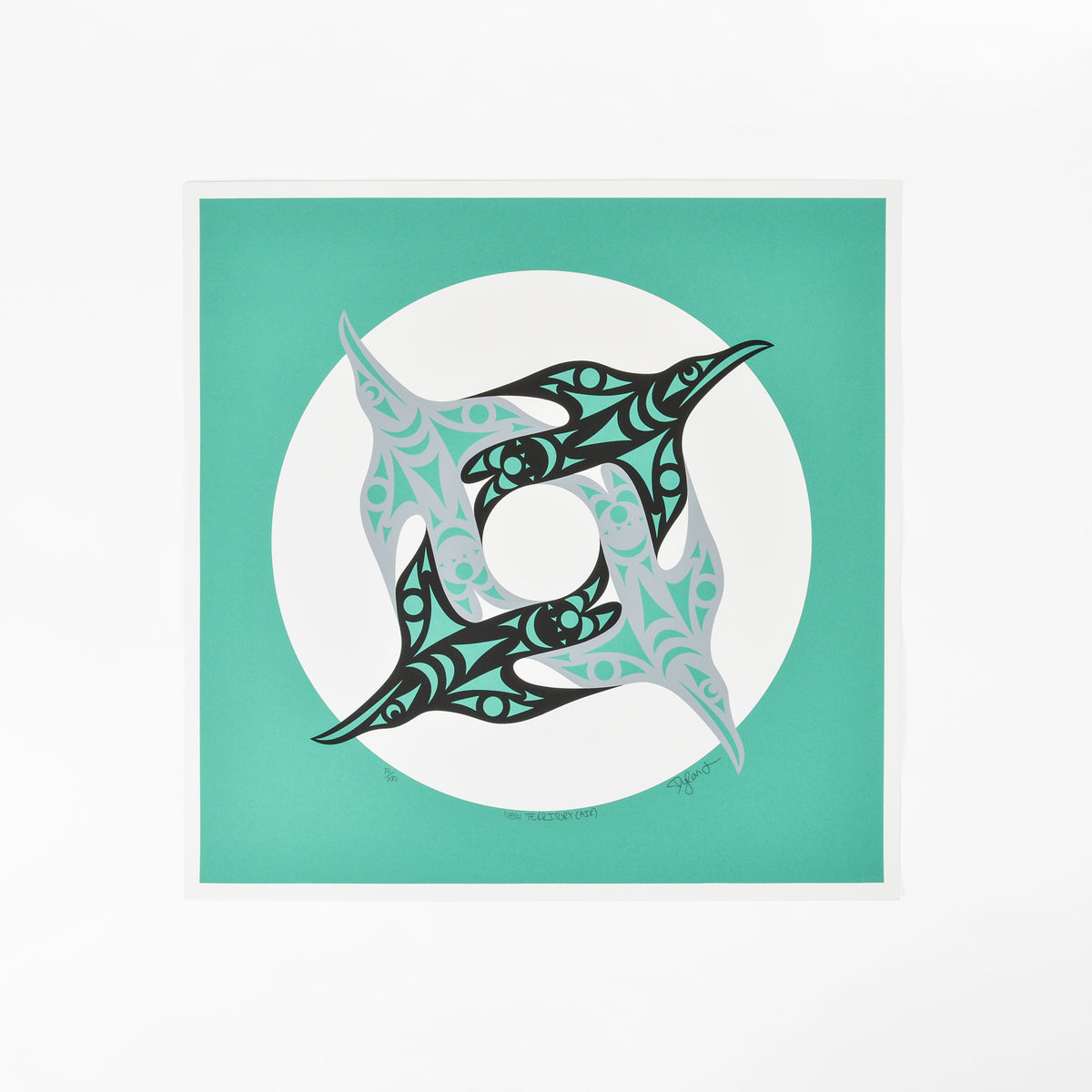 New Territory (Air) by Dylan Thomas – Native Art Prints